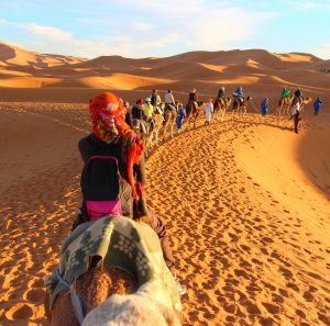 Camel Ride - Sahara Dome Camp